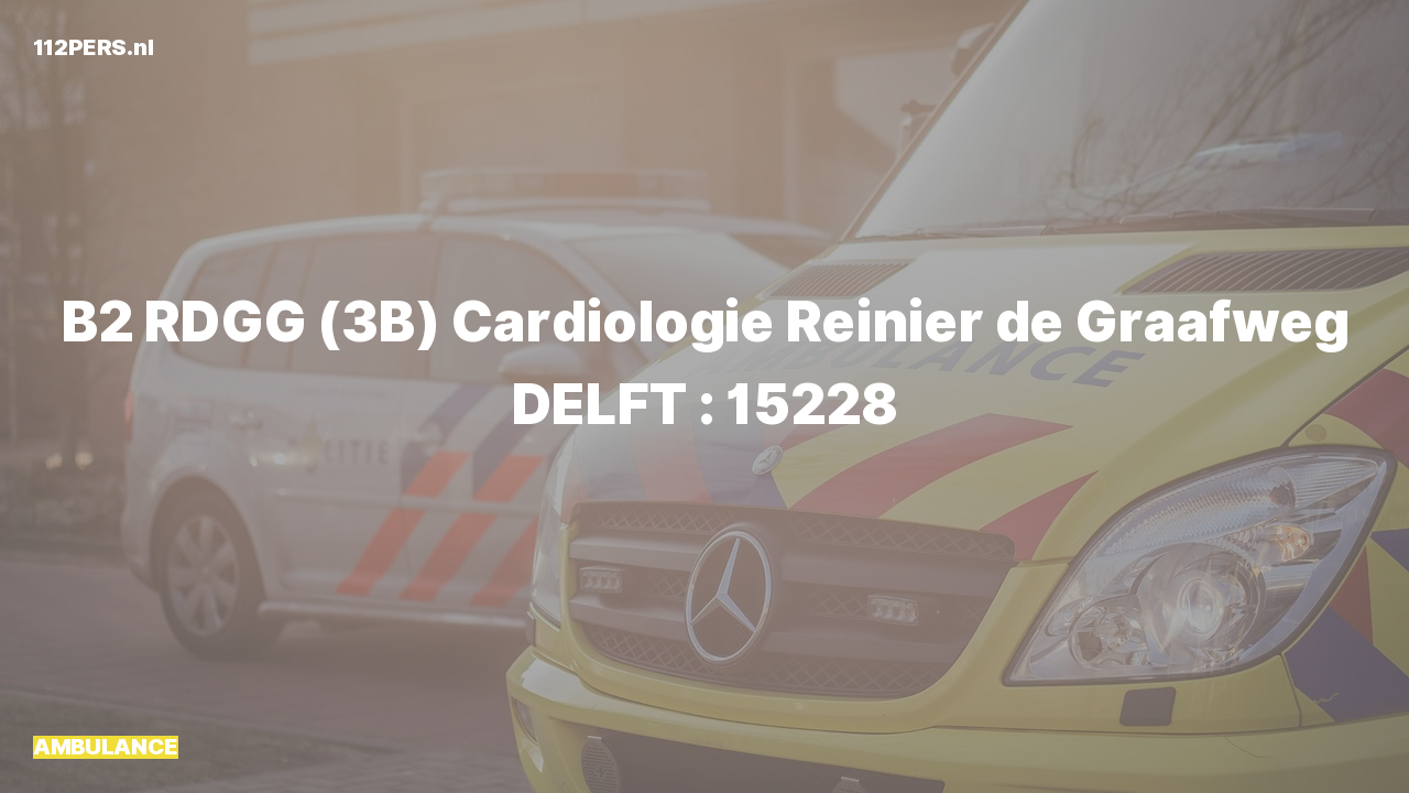 Ambulance naar Reinier de Graafweg in Delft - 112PERS.nl