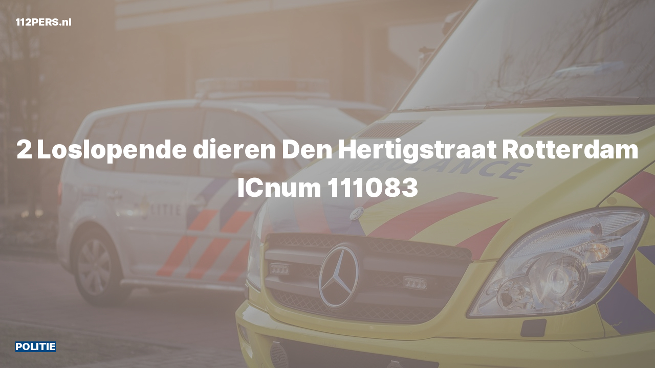 Politie naar Den Hertigstraat in Rotterdam - 112PERS.nl